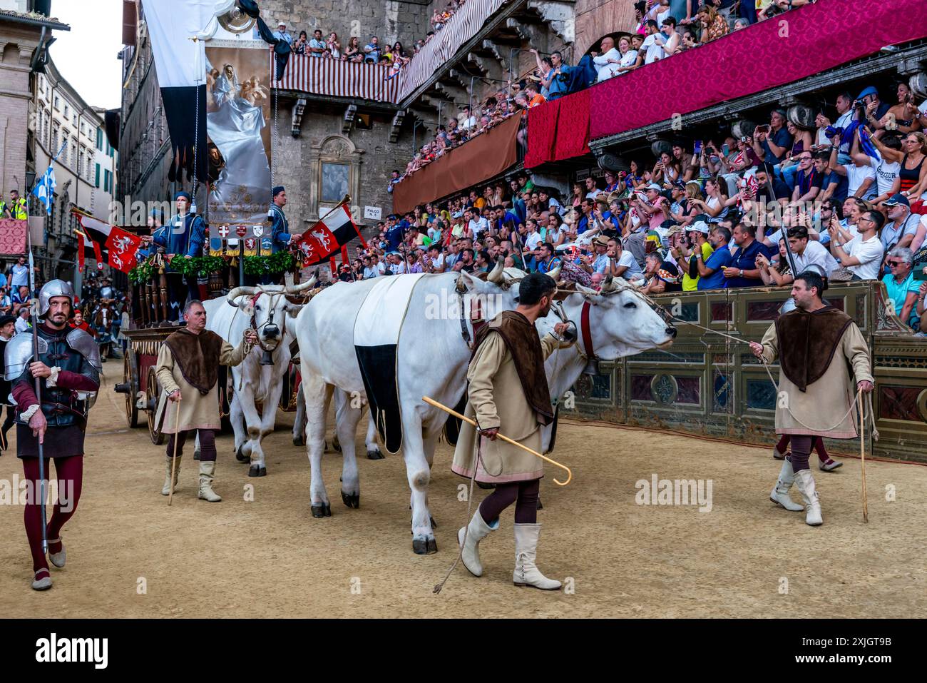 The White Oxen and Palio Silk Banner (The Carroccio) Arrive In The ...
