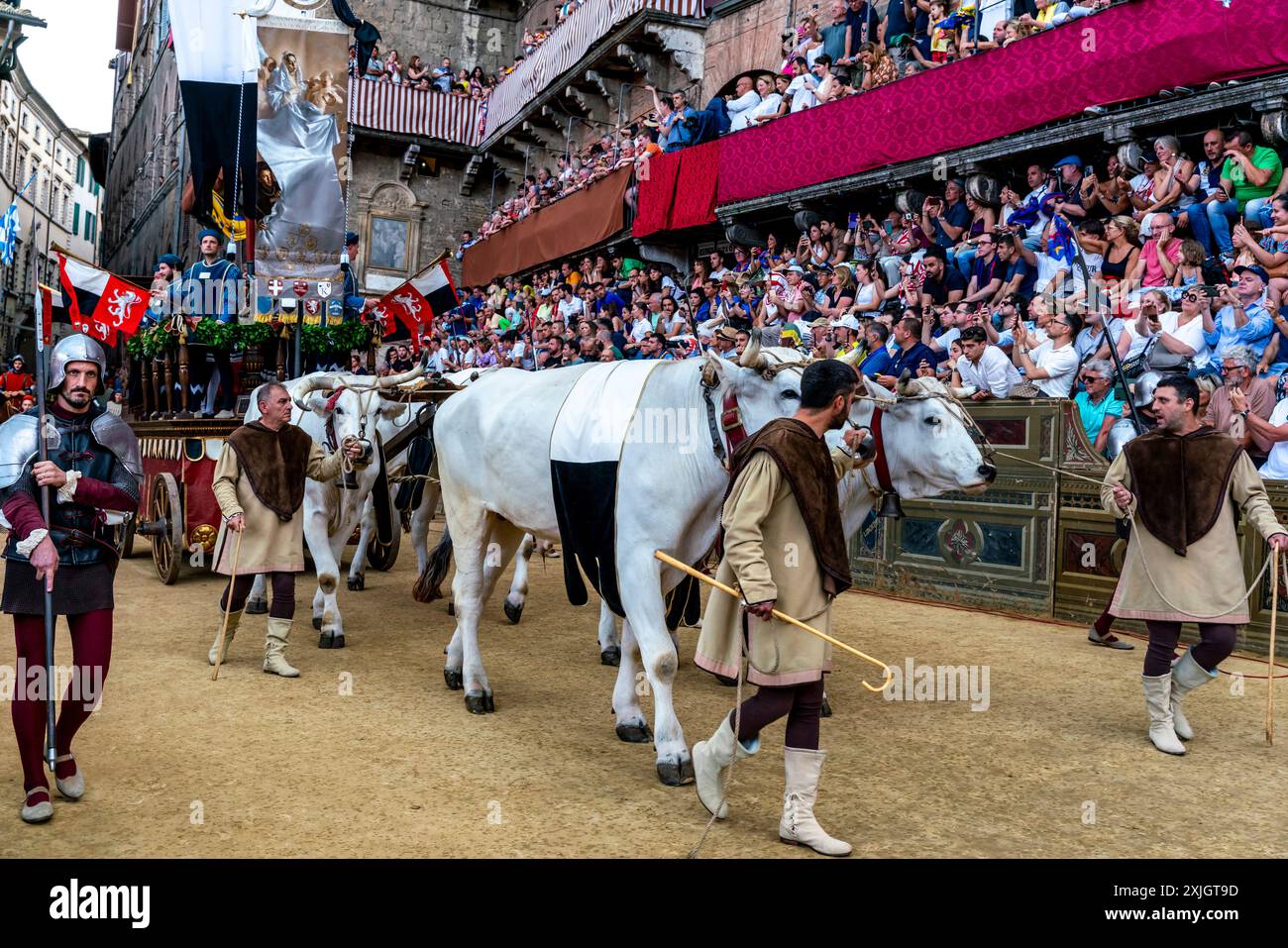 The White Oxen and Palio Silk Banner (The Carroccio) Arrive In The ...