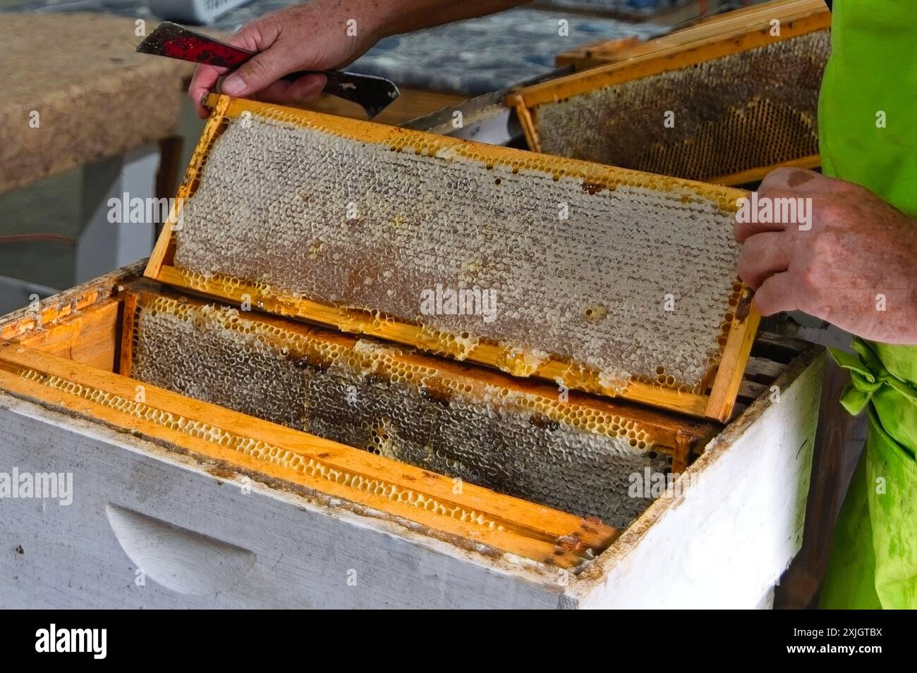 Beehive like hi-res stock photography and images - Alamy