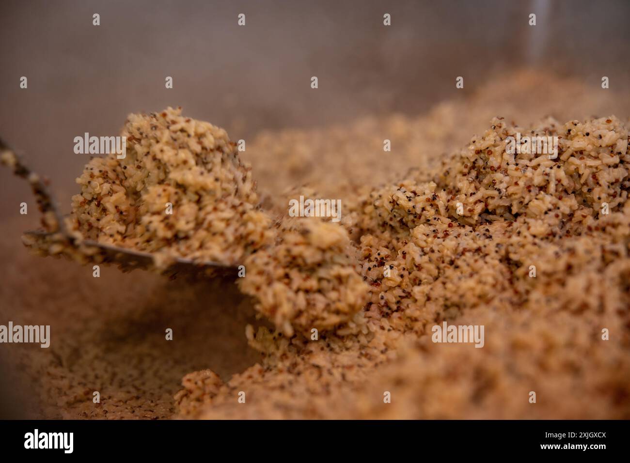 Expeditionary field kitchen hi-res stock photography and images - Alamy
