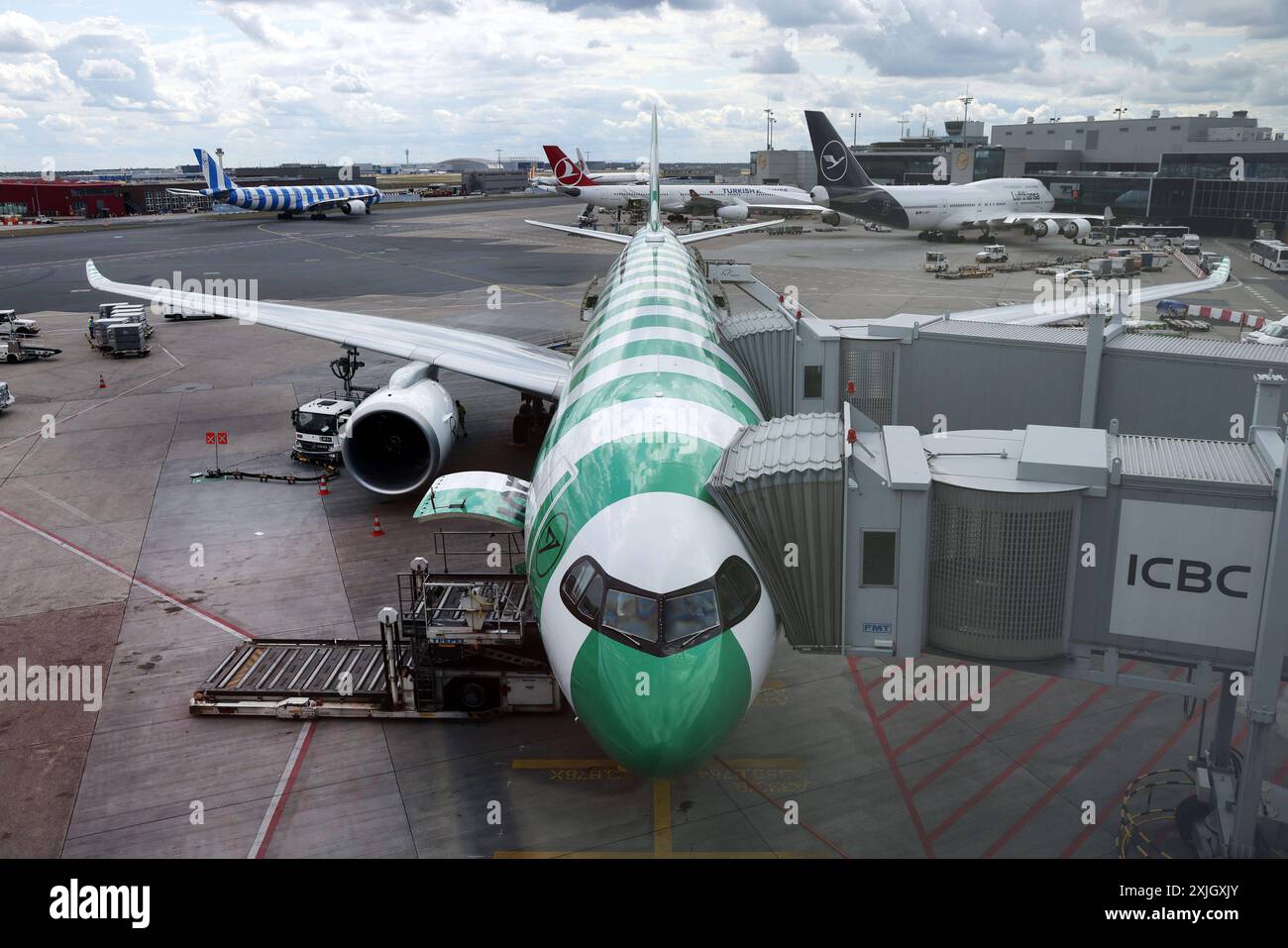 Airbus A330 neo von Condor im auffallenden grün- weißen Blockstreifen-Look am Gate B42, dahinter ...