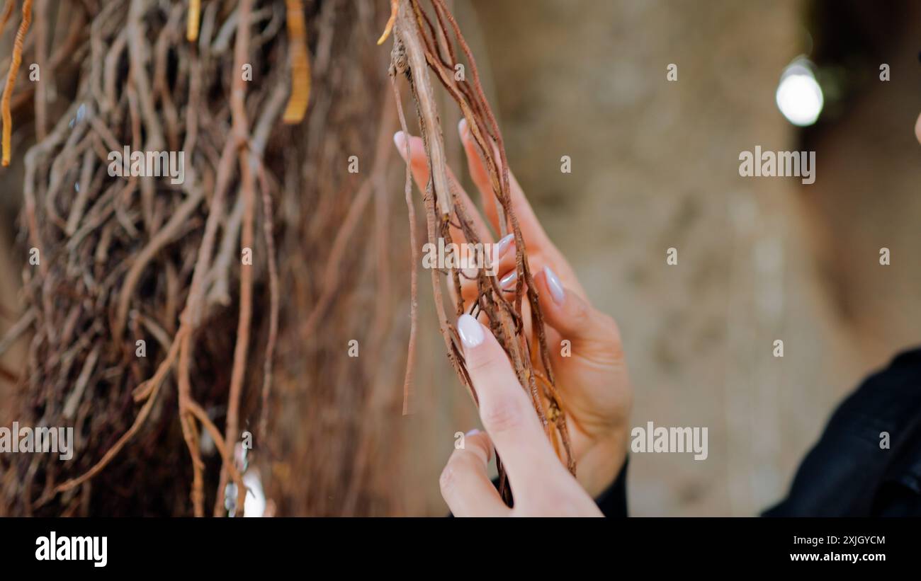 Woman Hands Touching Dry Branches Of The Tree Stock Photo - Alamy