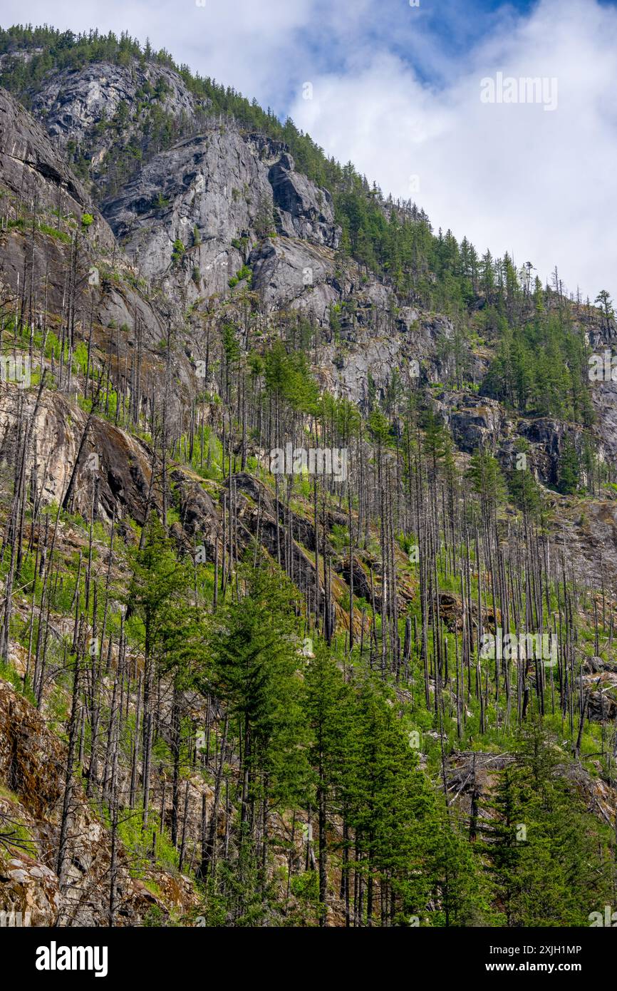Route 20 between Newhalem and Diablo, Washington, USA. Steep mountain ...