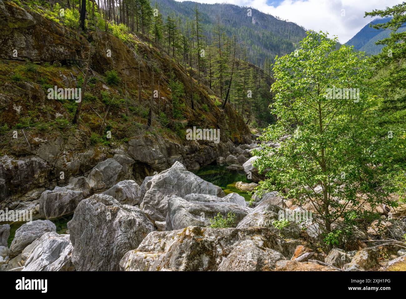 Route 20 between Newhalem and Diablo, Washington, USA. Skagit River ...