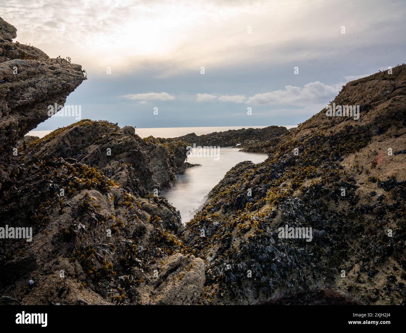 Ocean waves rushing on surf hi-res stock photography and images - Alamy