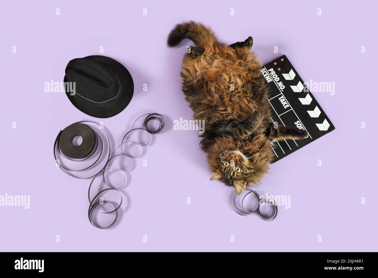 Cute cat, movie clapper, hat and filmstrips on lilac background Stock ...