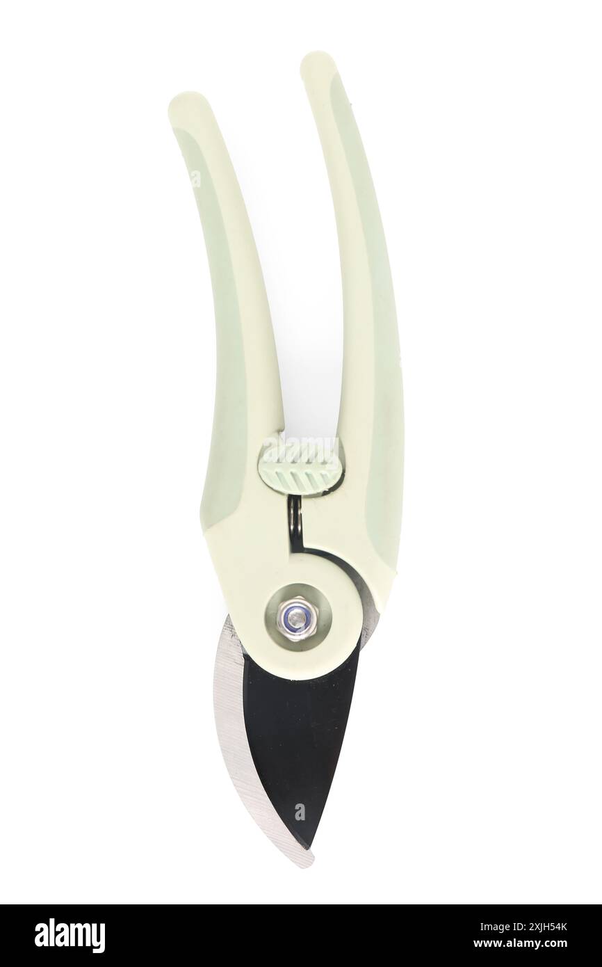 Gardening plastic secateurs on white background Stock Photo - Alamy
