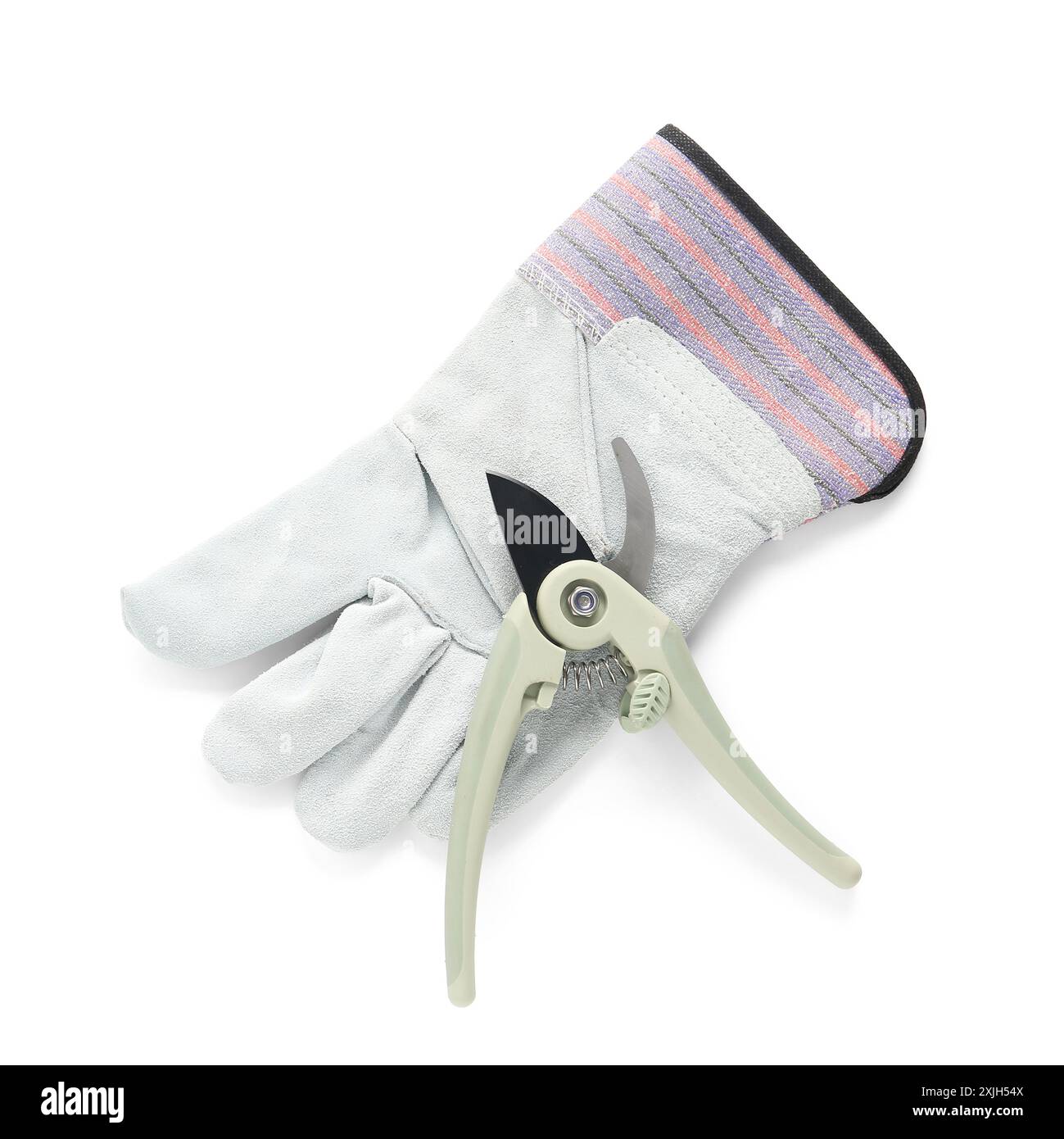 Secateurs with glove on white background Stock Photo - Alamy