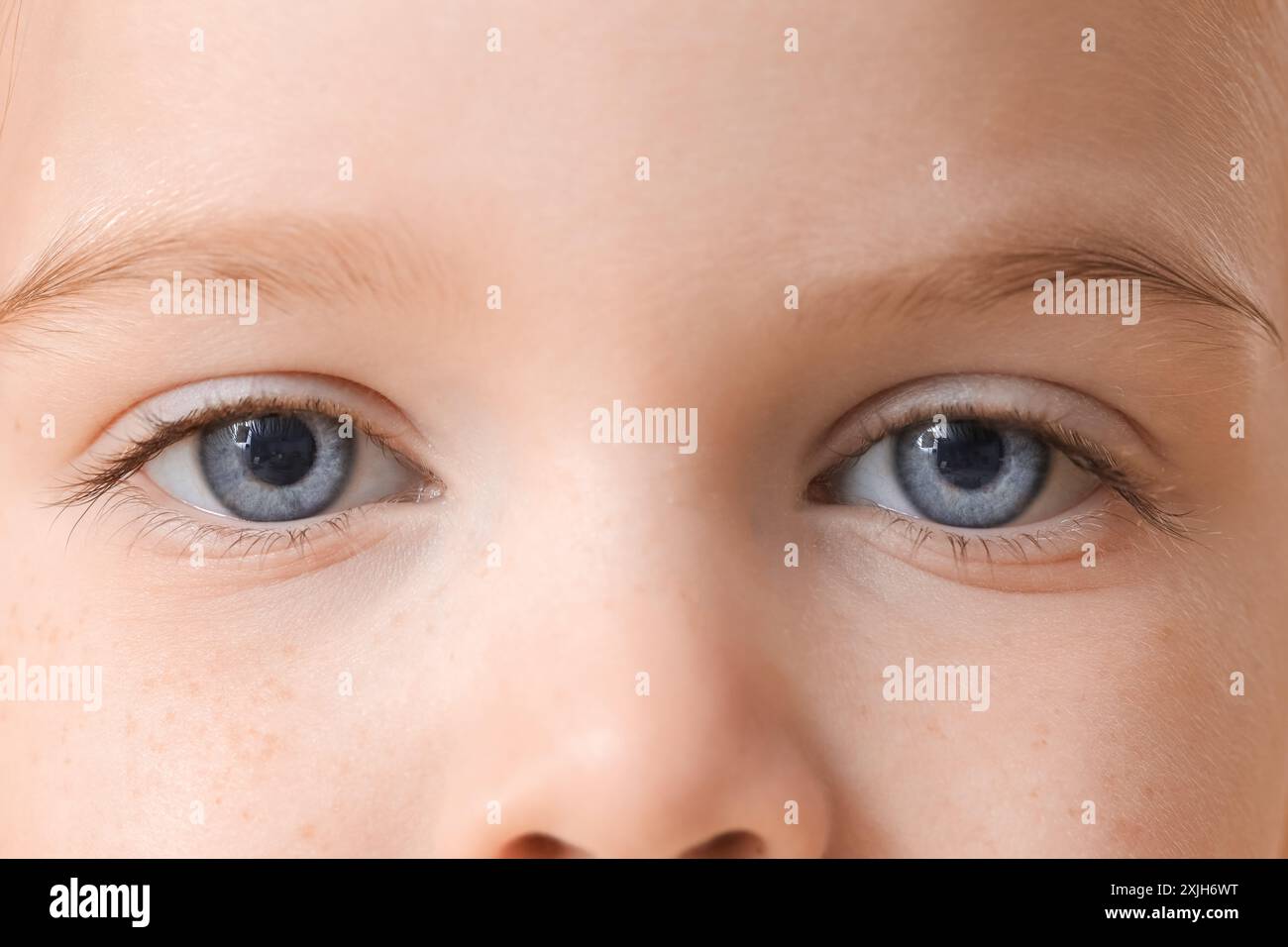 Little girl with blue eyes, closeup Stock Photo - Alamy