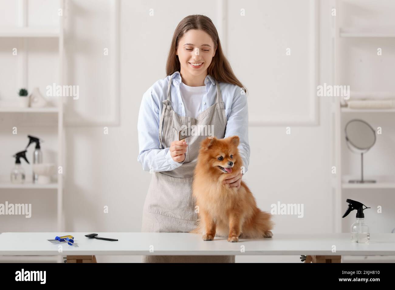 Female groomer brushing cute hi-res stock photography and images - Alamy