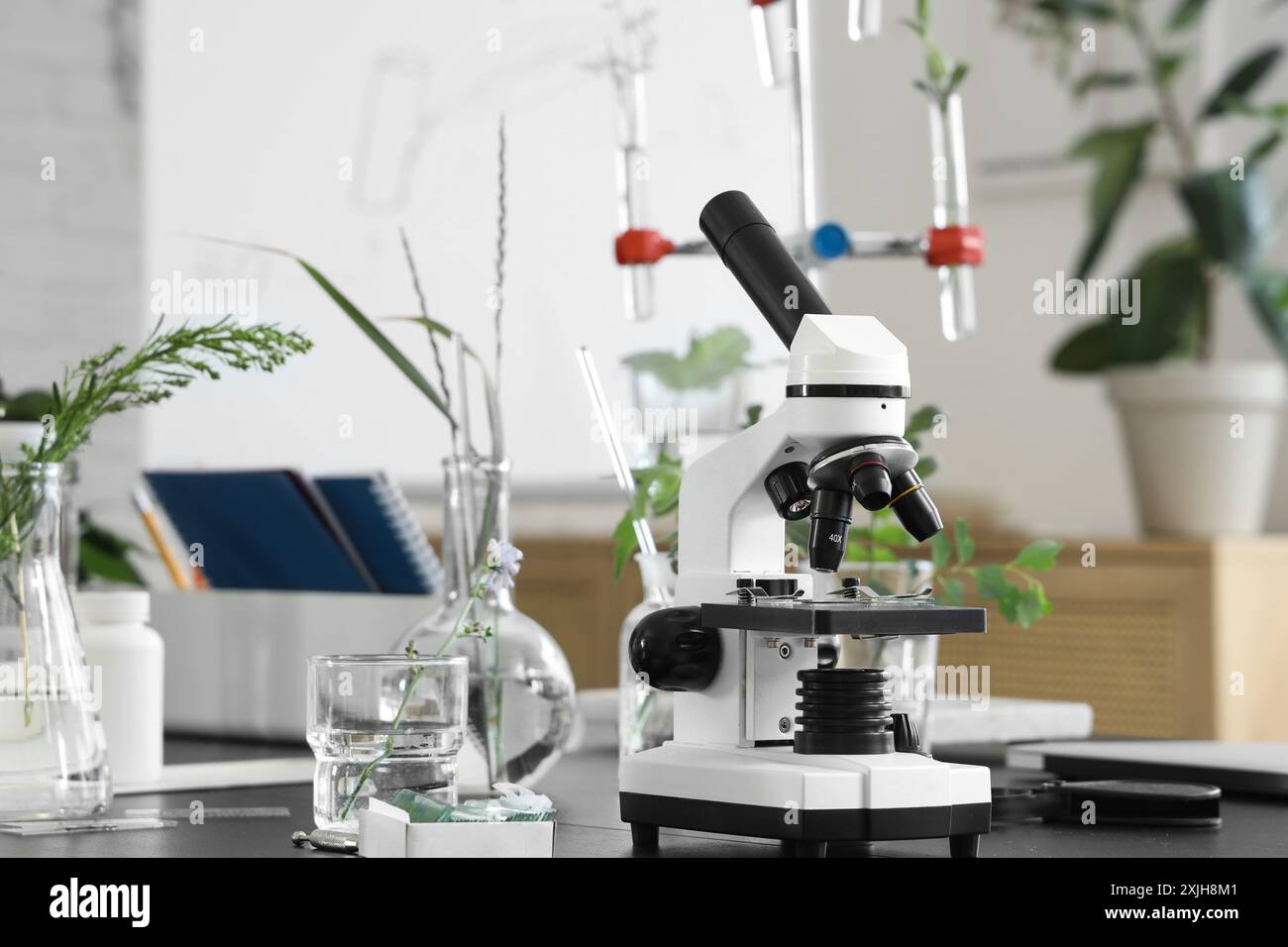 Children plants microscope hi-res stock photography and images - Alamy