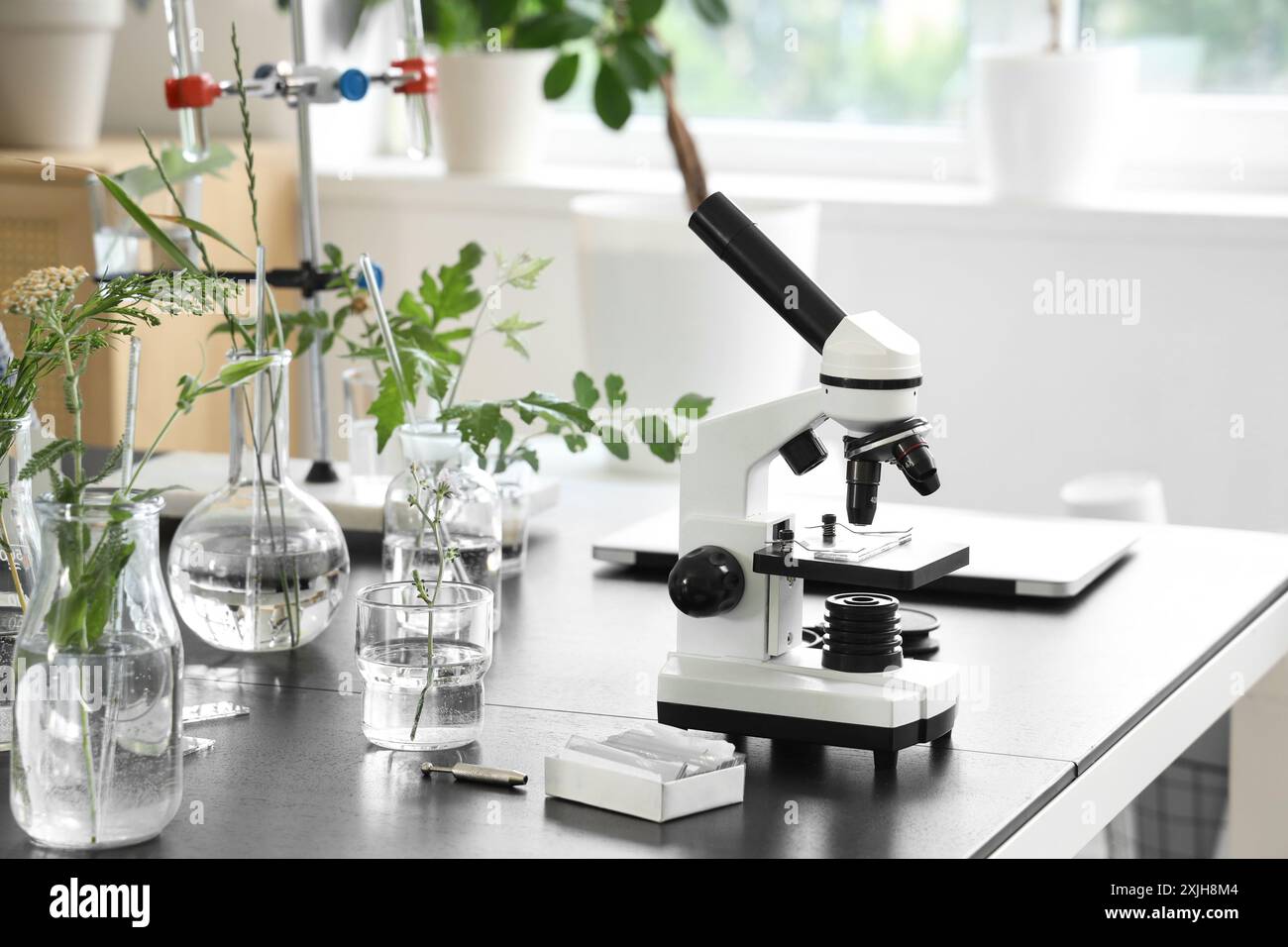 Children plants microscope hi-res stock photography and images - Alamy