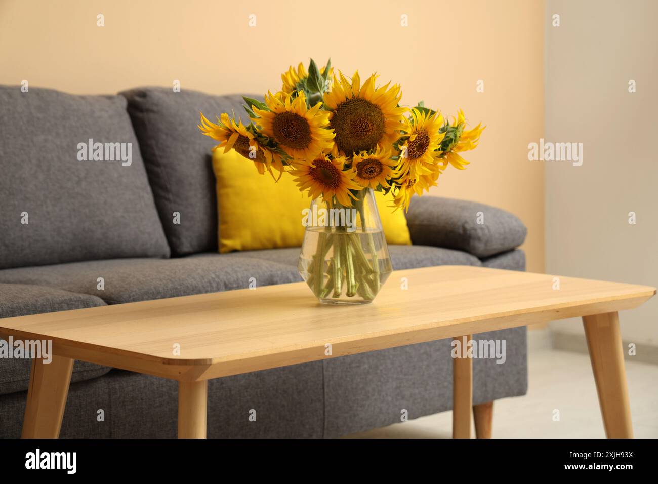 Cozy sofa and coffee table with sunflowers in living room Stock Photo ...