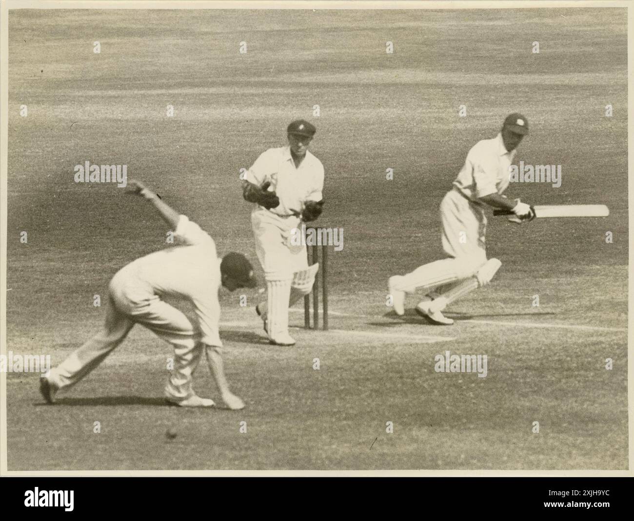 Vintage australian cricket photography. Wyatt gets out past O'Reilly in ...