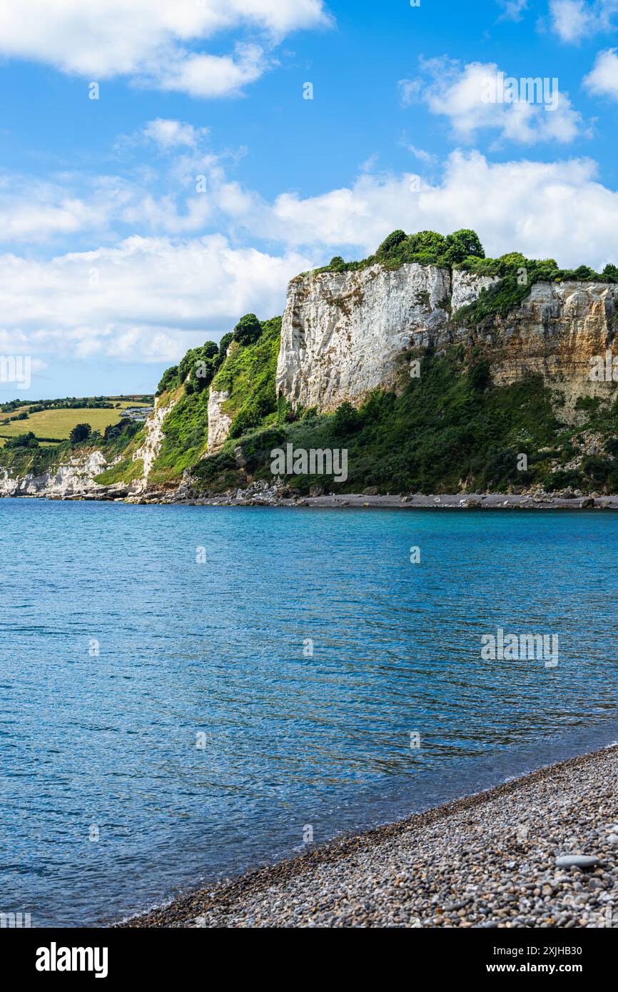 White Cliff, Jurassic Coast, Seaton, Devon, England Stock Photo - Alamy