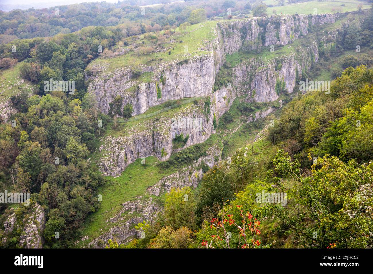 Cheddar gorge, limestone gorge in the Mendip Hills Somerset, view of ...