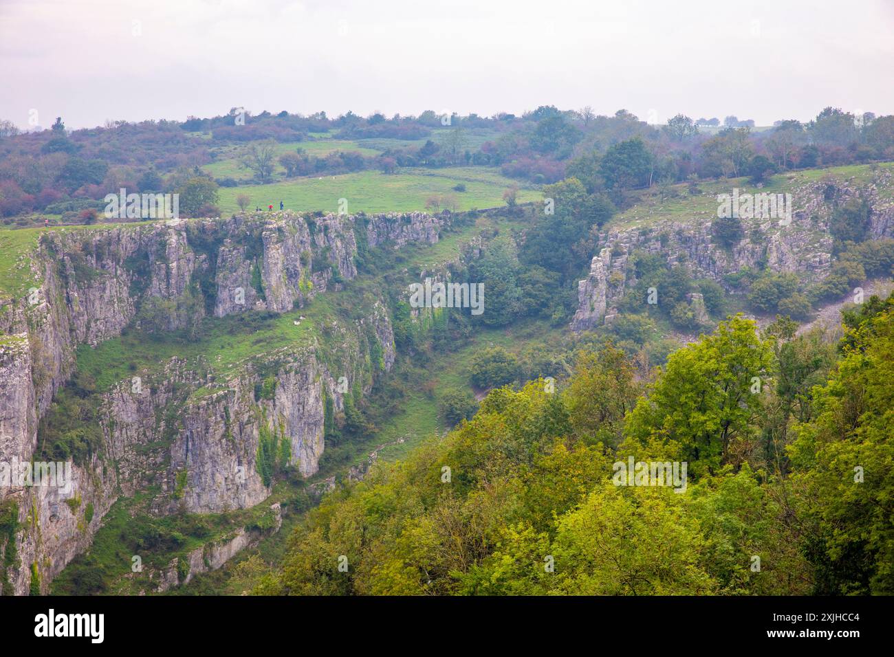 Cheddar gorge, limestone gorge in the Mendip Hills Somerset, view of ...