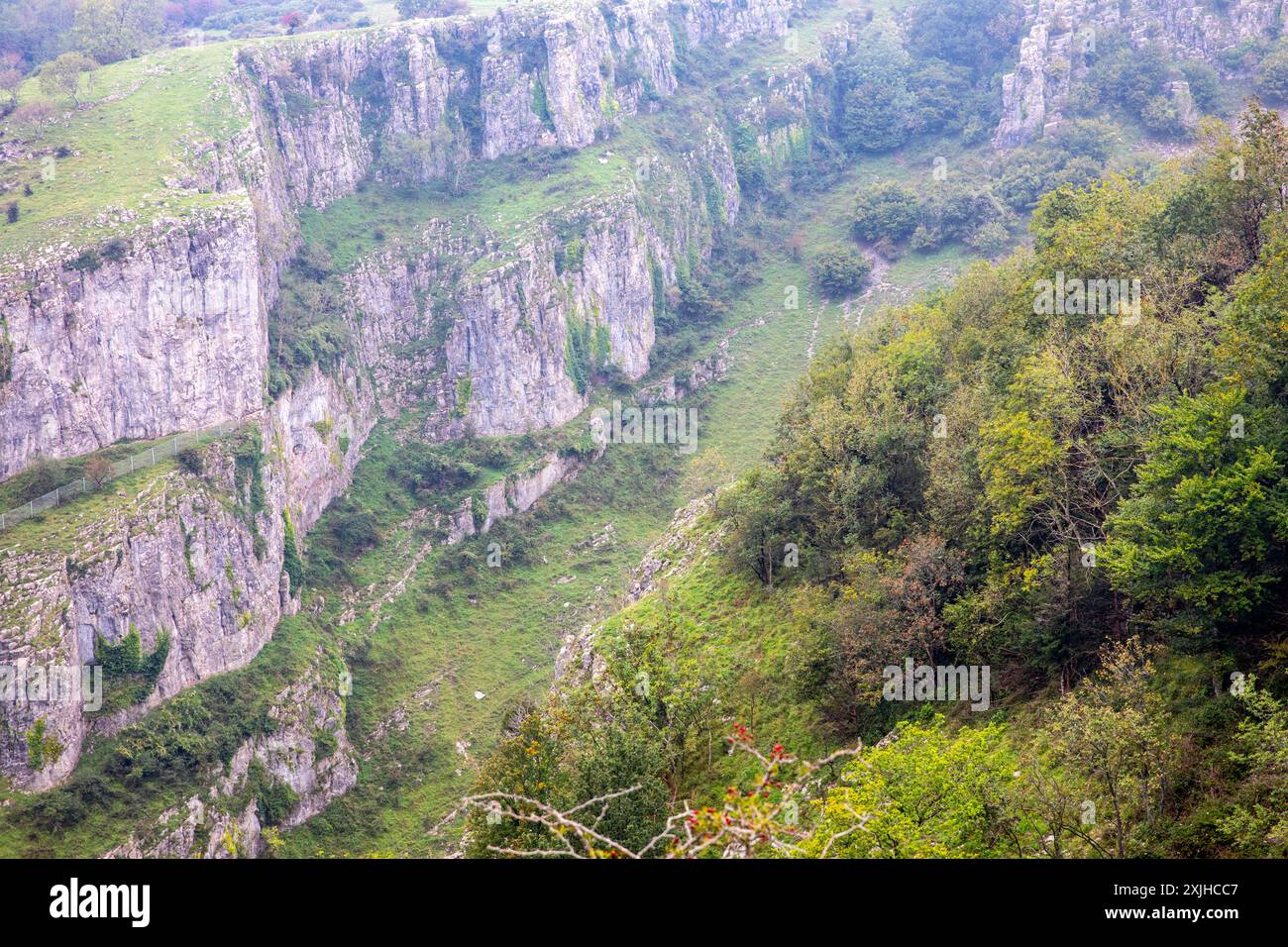 Cheddar gorge, limestone gorge in the Mendip Hills Somerset, view of ...