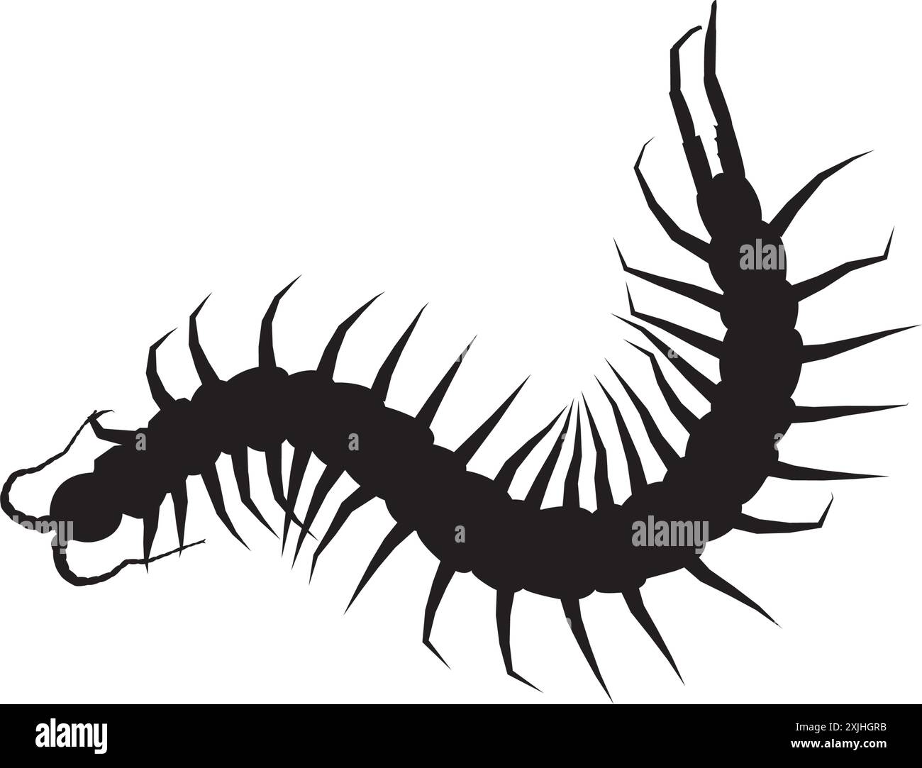 Centipede icon illustration logo design Stock Vector Image & Art - Alamy