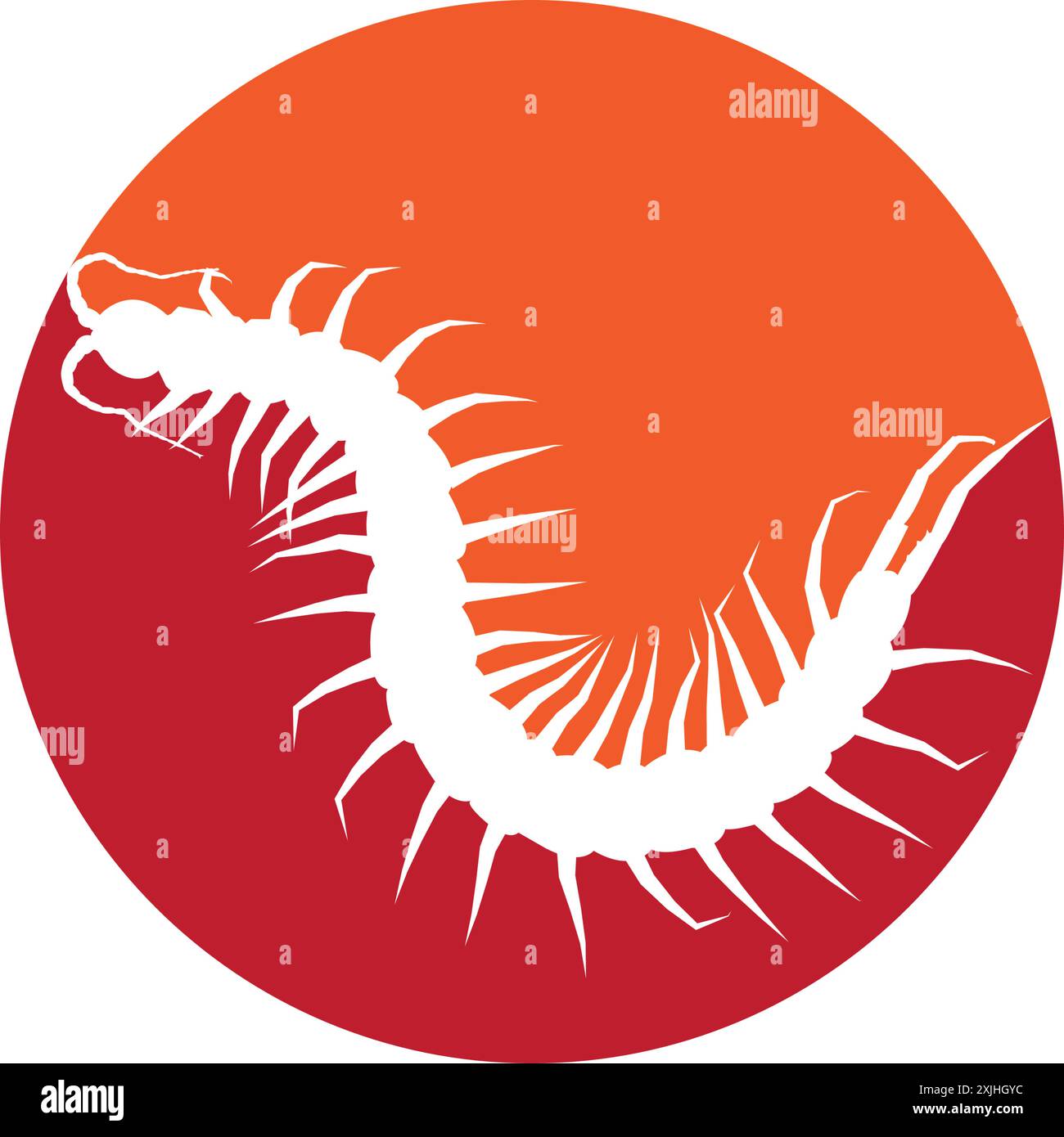 Millipede scared Stock Vector Images - Alamy