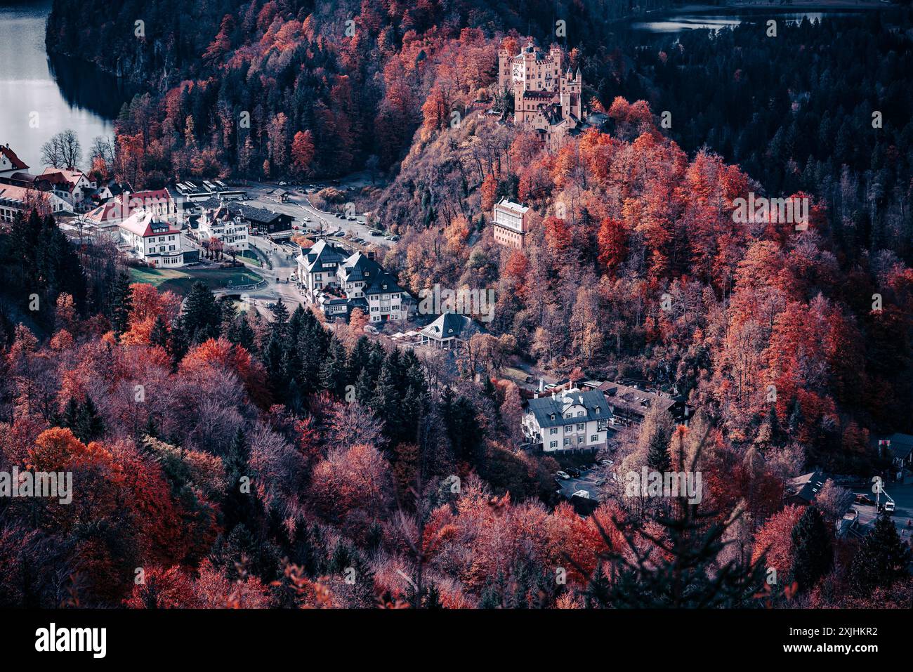Aerial view of Neuschwanstein Castle nestled amongst fall foliage, with ...