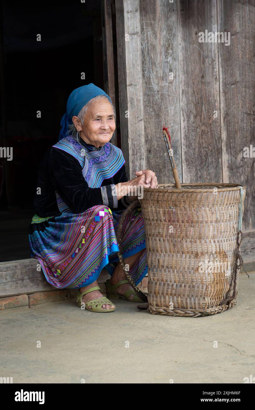 Flower Hmong woman in Bac Ha, Lao Cai Province, Vietnam Stock Photo - Alamy