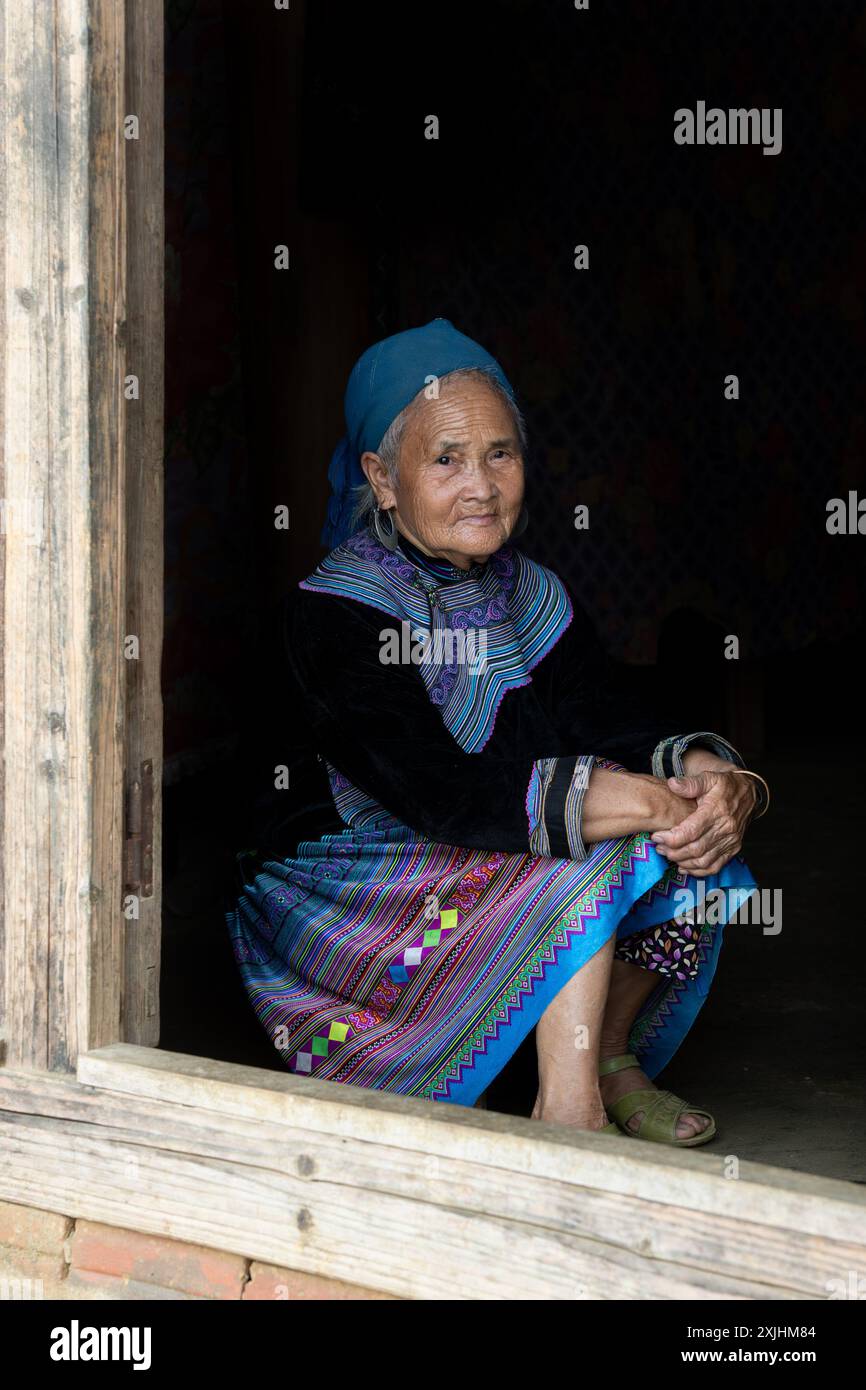 Flower Hmong woman in Bac Ha, Lao Cai Province, Vietnam Stock Photo - Alamy