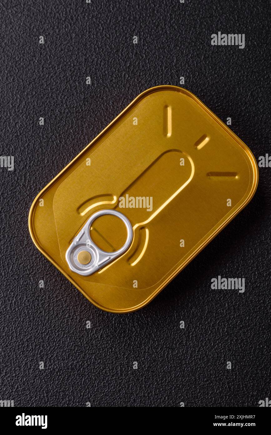 Metal can with canned meat or fish with a key to open it on a dark ...