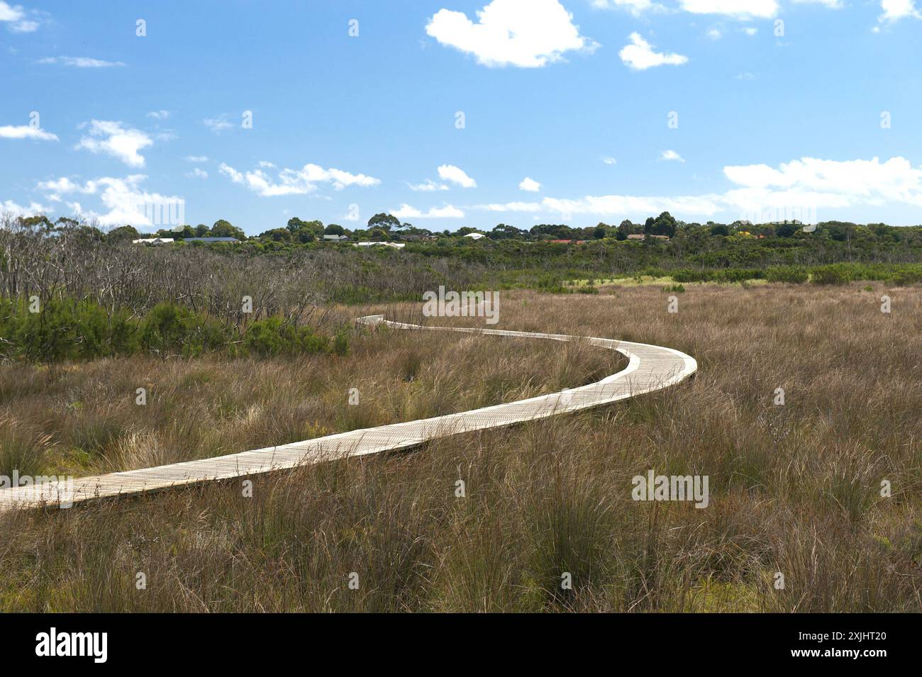 A marshland timber boardwalk snakes across the Warringine Wetlands and ...