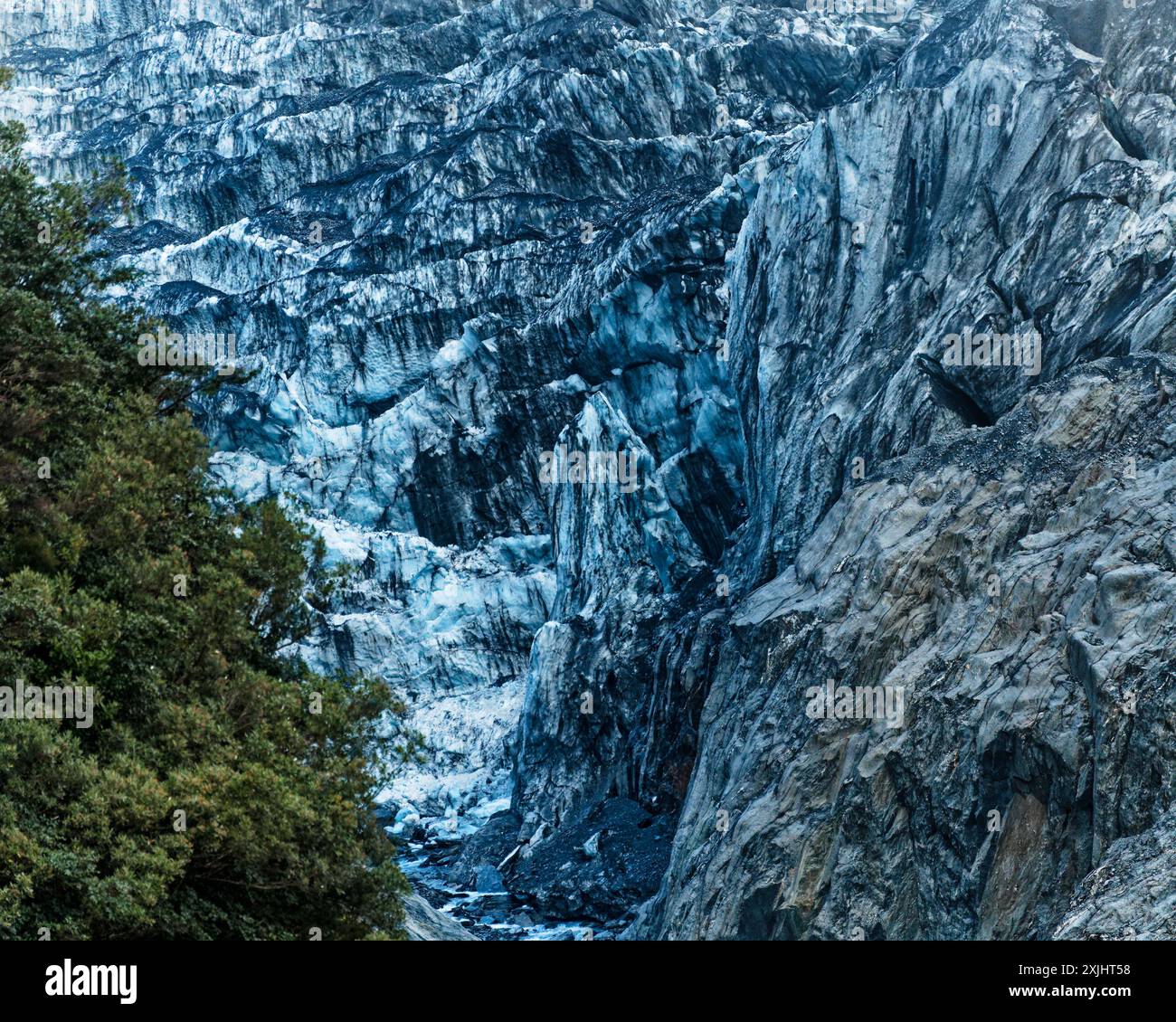 The front of Franz Josef Glacier, Westland Tai Poutini National Park ...