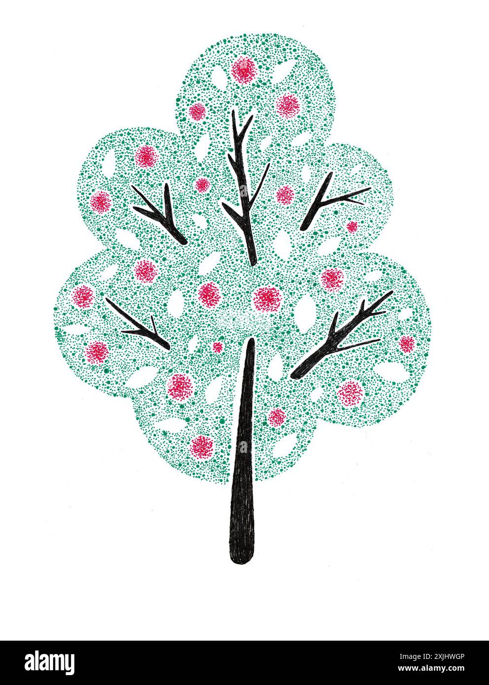 Tree in middle forest Cut Out Stock Images & Pictures - Alamy