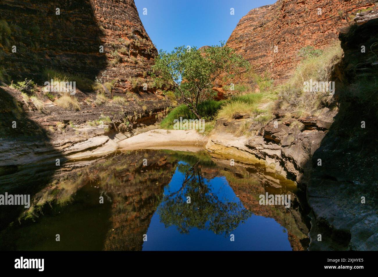 Waterhole in the Bungle Bungle ranges (Purnululu), surrounded by the ...