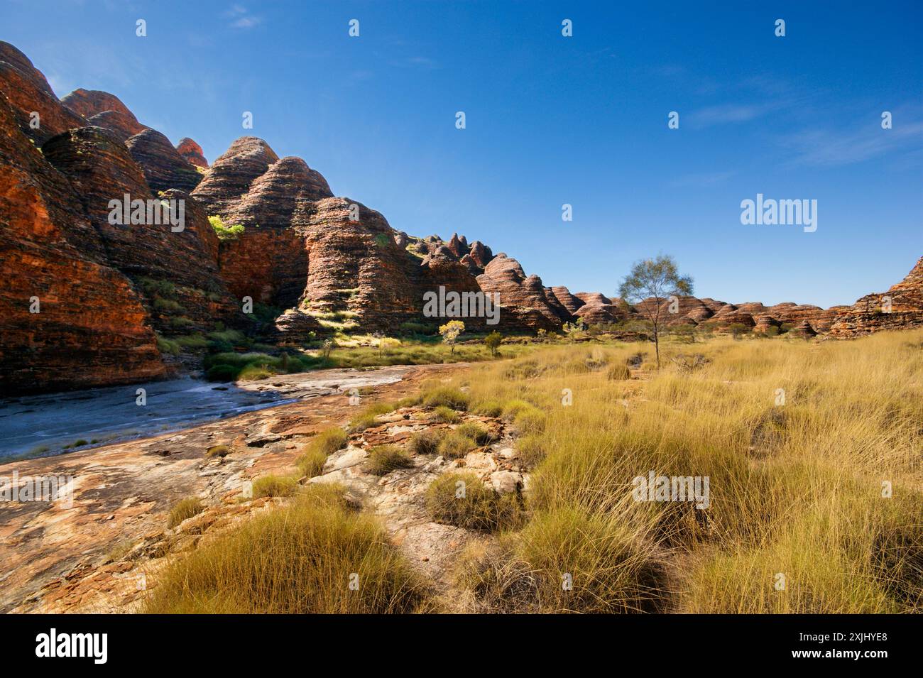 Landscape in the Bungle Bungle ranges (Purnululu) with beehive domes ...