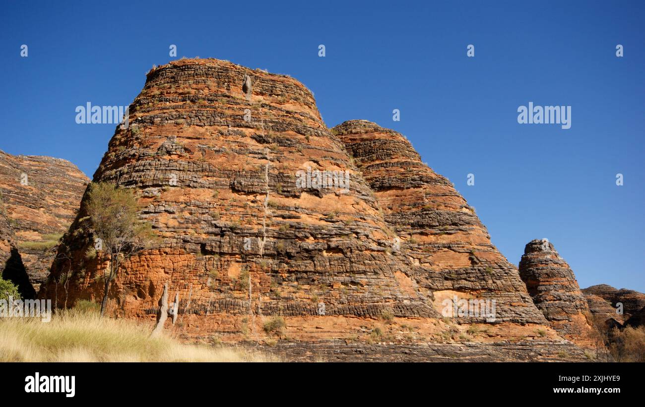 Iconic beehive domes in the Bungle Bungle ranges (Purnululu), Western ...
