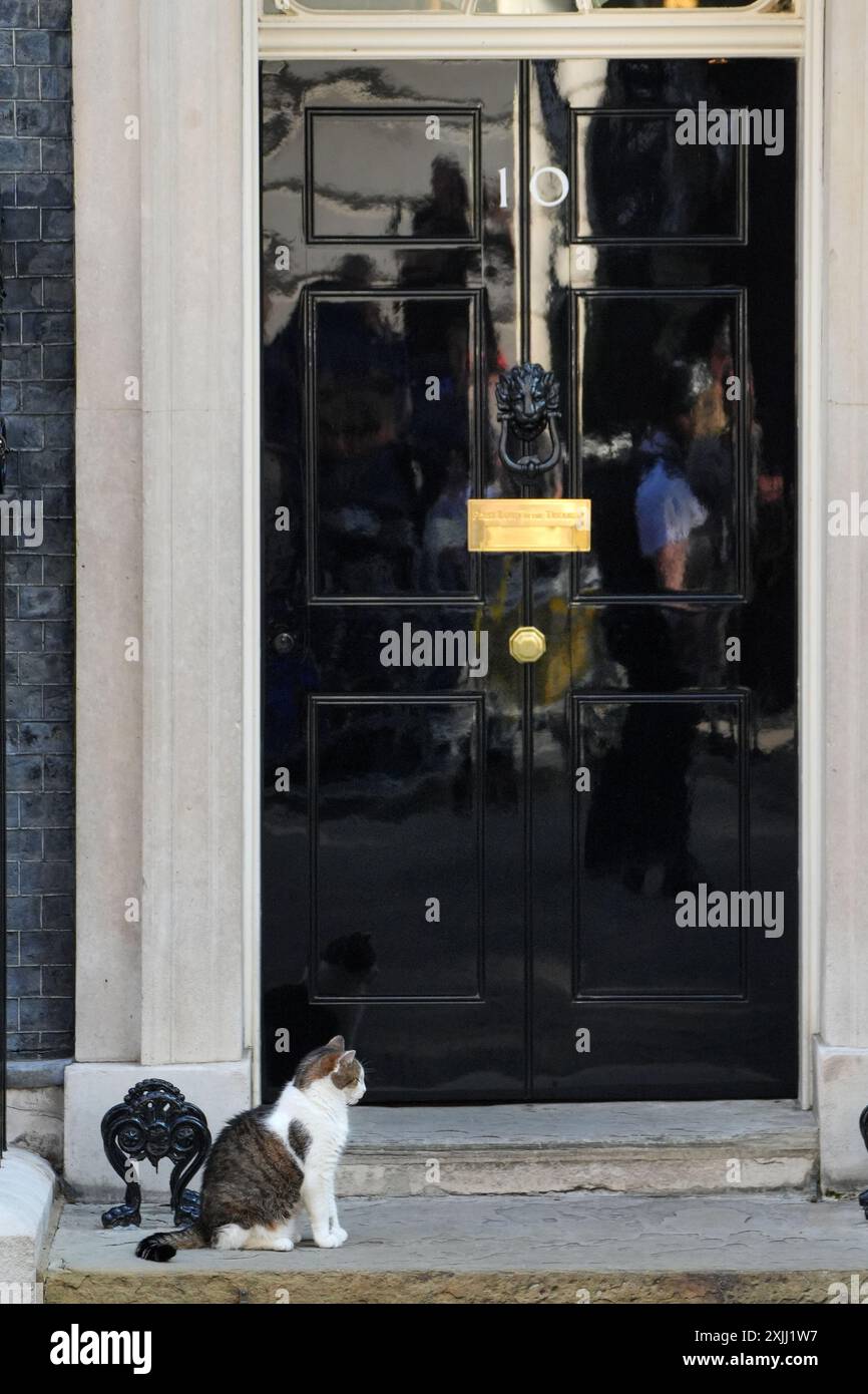 Chief Mouser to the Cabinet Office Larry the cat, outside 10 Downing ...