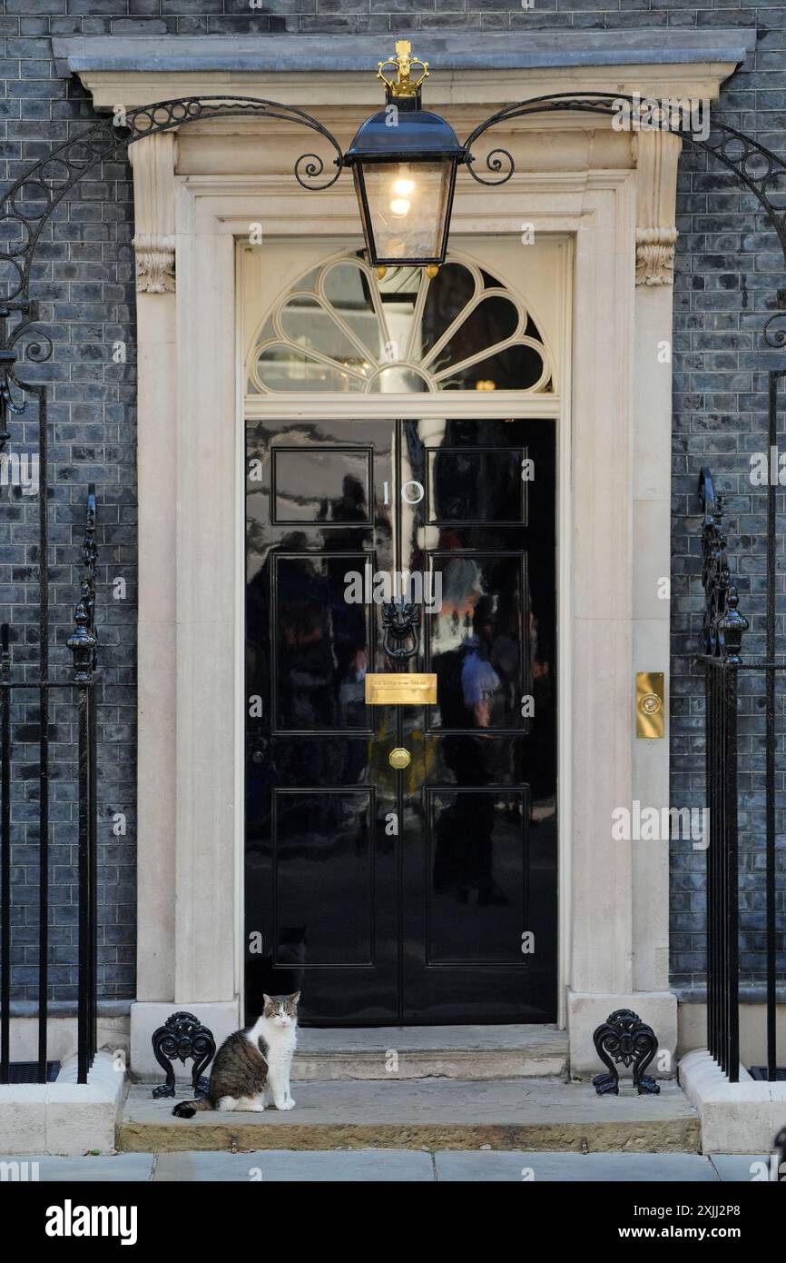 Larry the cat and chief mouser to the cabinet office hi-res stock ...