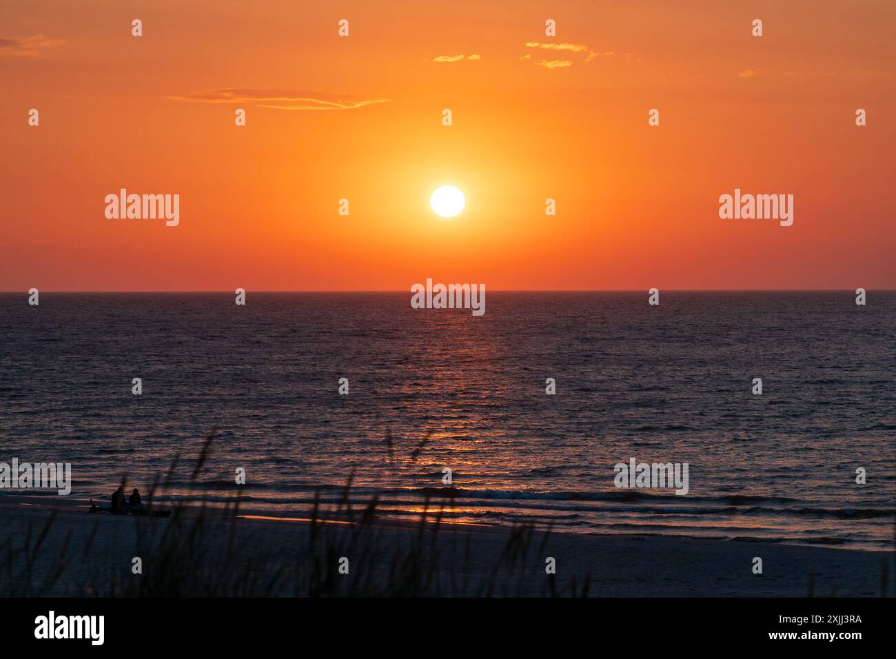 Beautiful sunset over the Baltic Sea. Blurry blades of grass in the ...