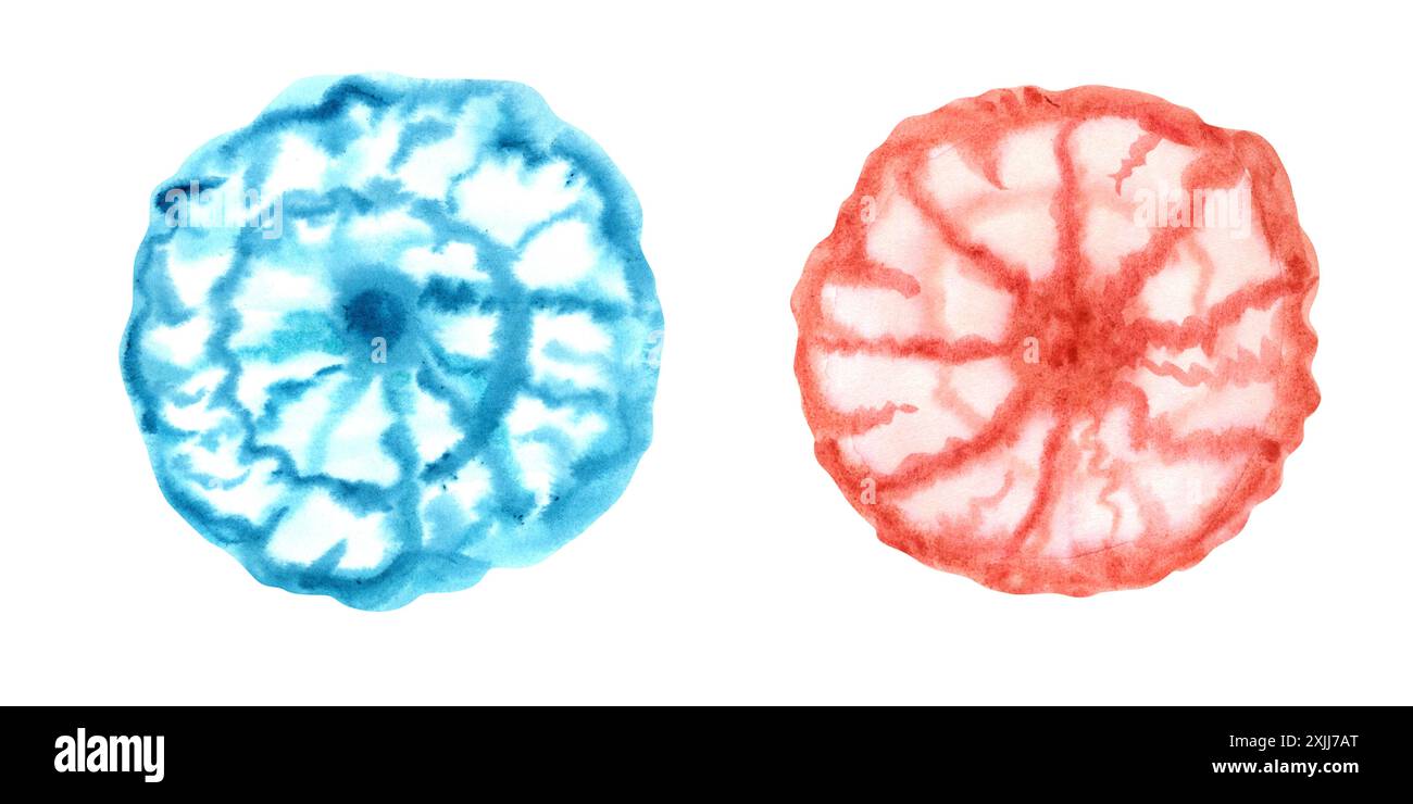 Fuzzy swimming jellyfish. Watercolor abstract animals like as unusual ...