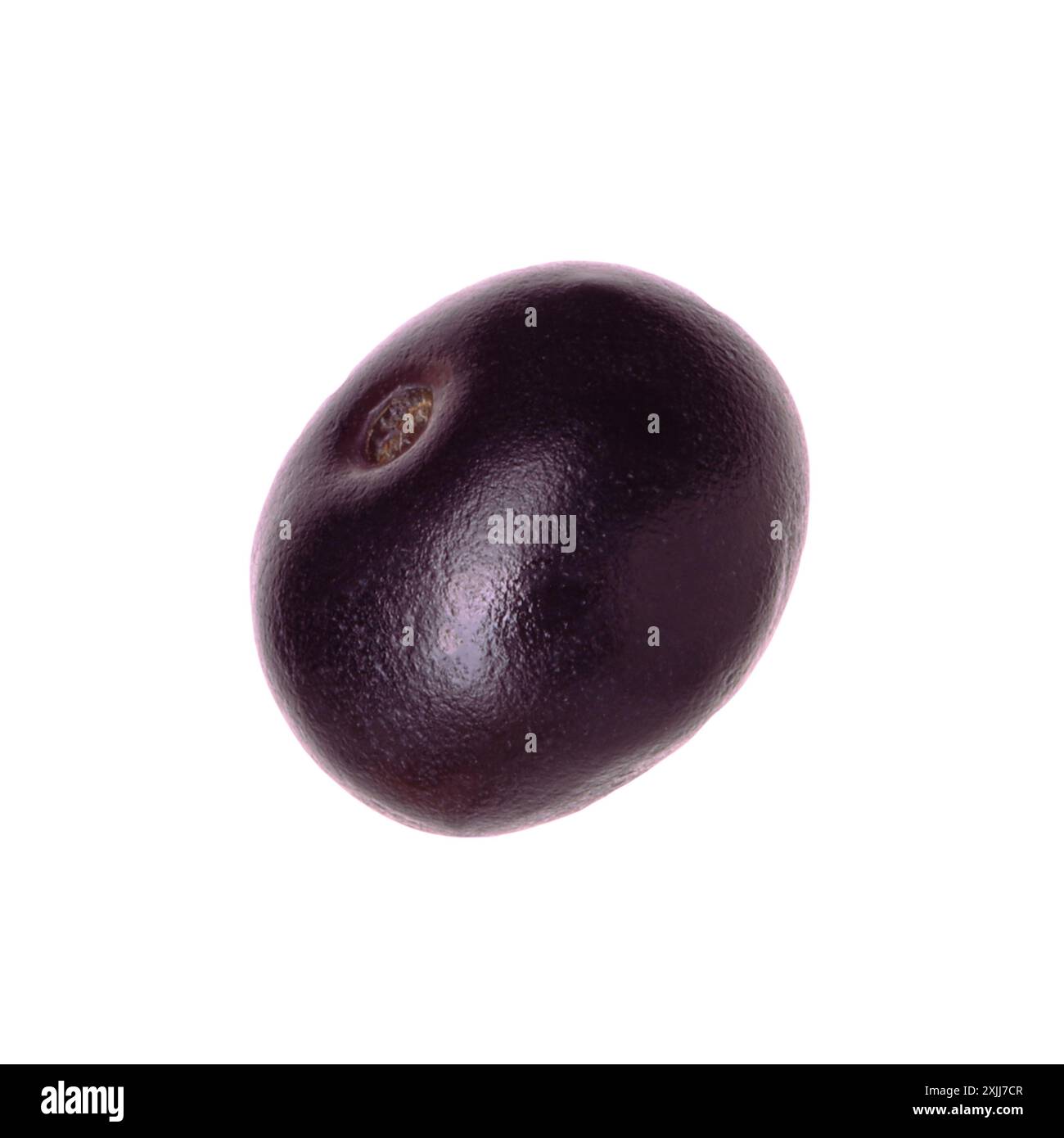 Fresh acai berry isolated Cut Out Stock Images & Pictures - Alamy
