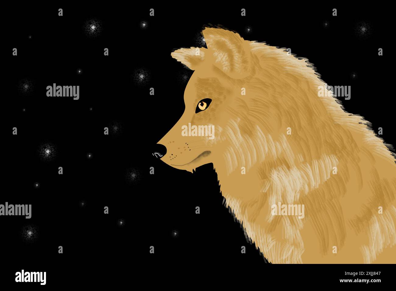 An illustration of a wolf staring intently in front of him Stock Vector ...