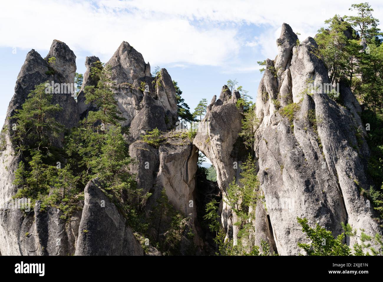Earths ecosystem hi-res stock photography and images - Alamy