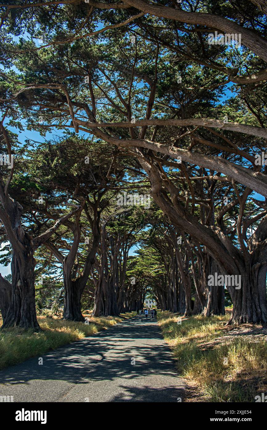 Point Reyes National Seashore, California, USA Stock Photo - Alamy