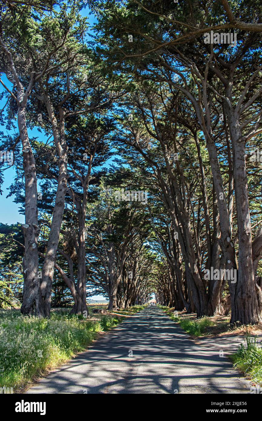 Point Reyes National Seashore, California, USA Stock Photo - Alamy
