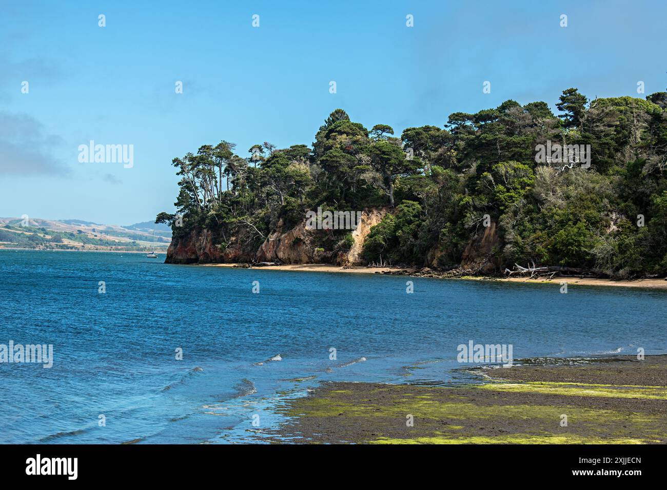 Point Reyes National Seashore, California, USA Stock Photo - Alamy