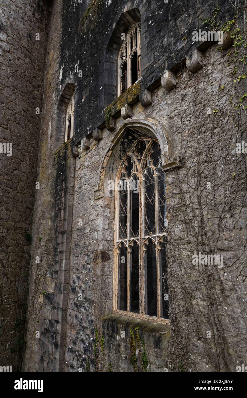 Gwrych Castle , Abergele, North Wales. A ruined country house now being ...