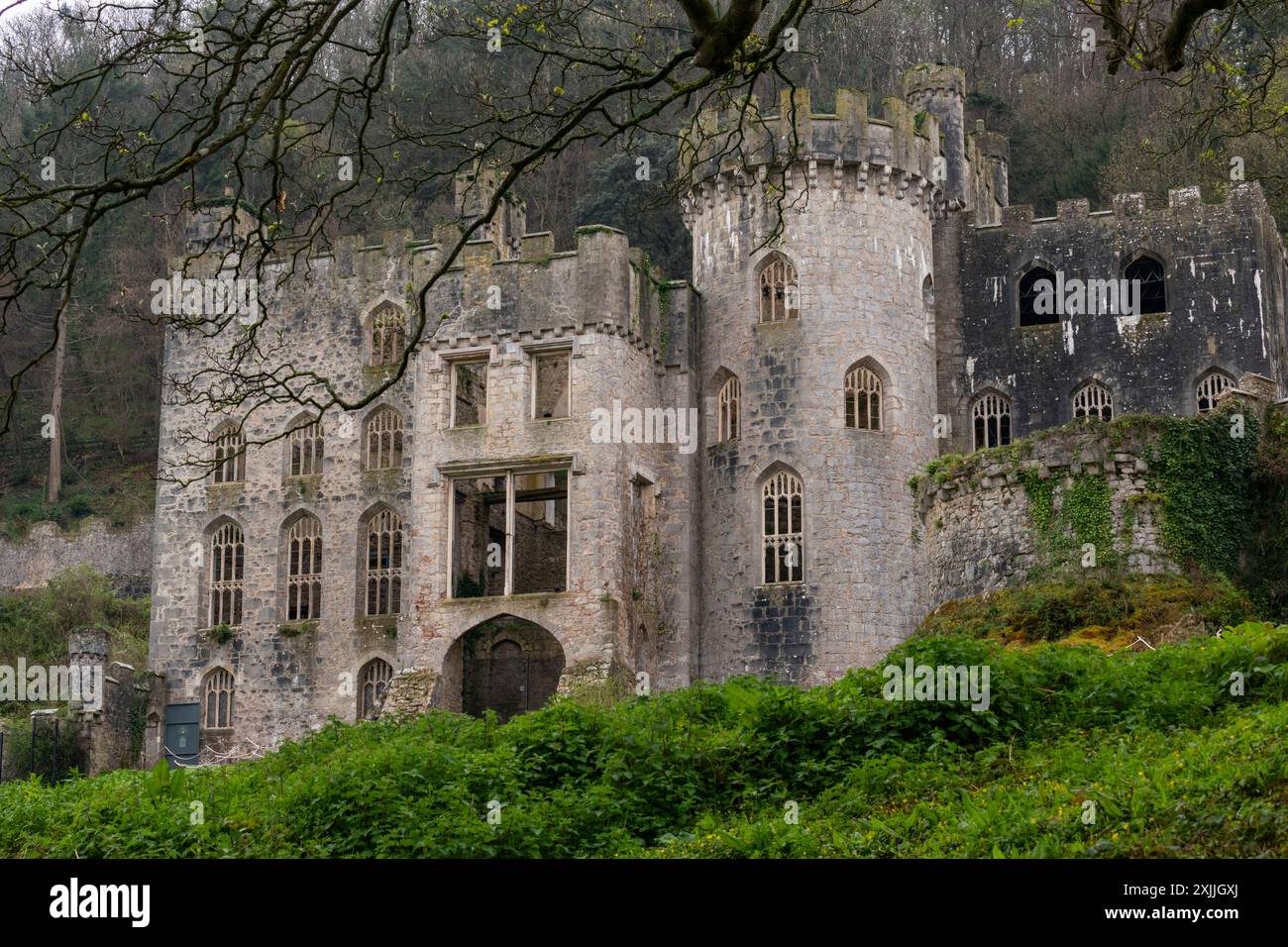 Gwrych Castle , Abergele, North Wales. A ruined country house now being ...