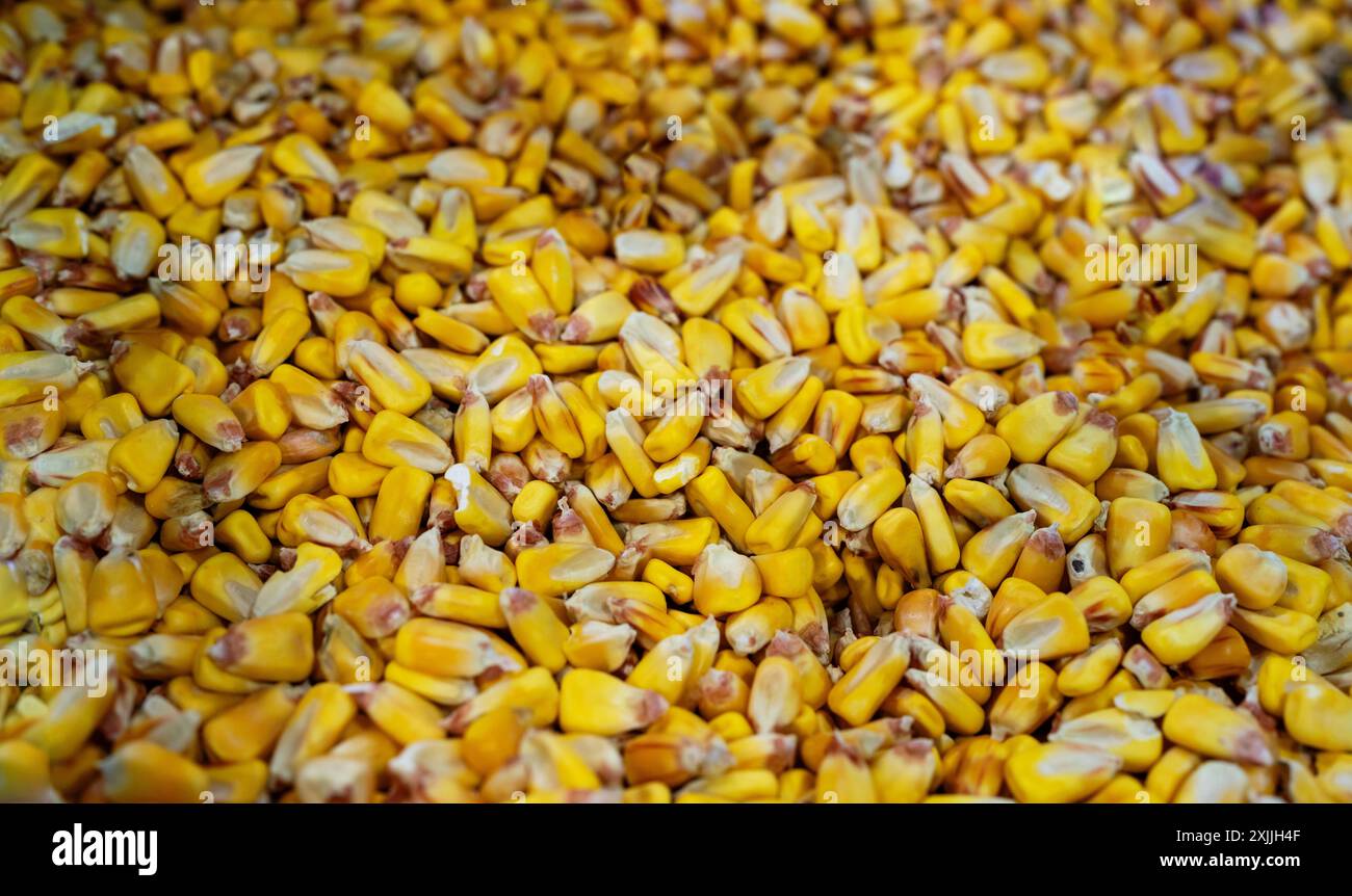 Closeup of grains hi-res stock photography and images - Alamy