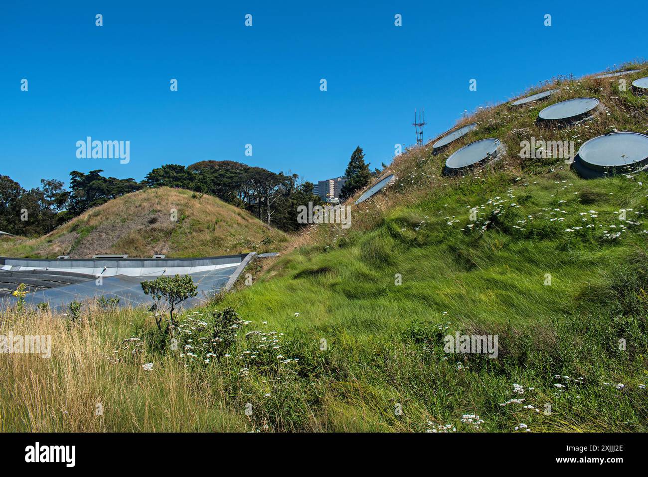 California Academy of Science, Golden Gate Park, San Francisco ...
