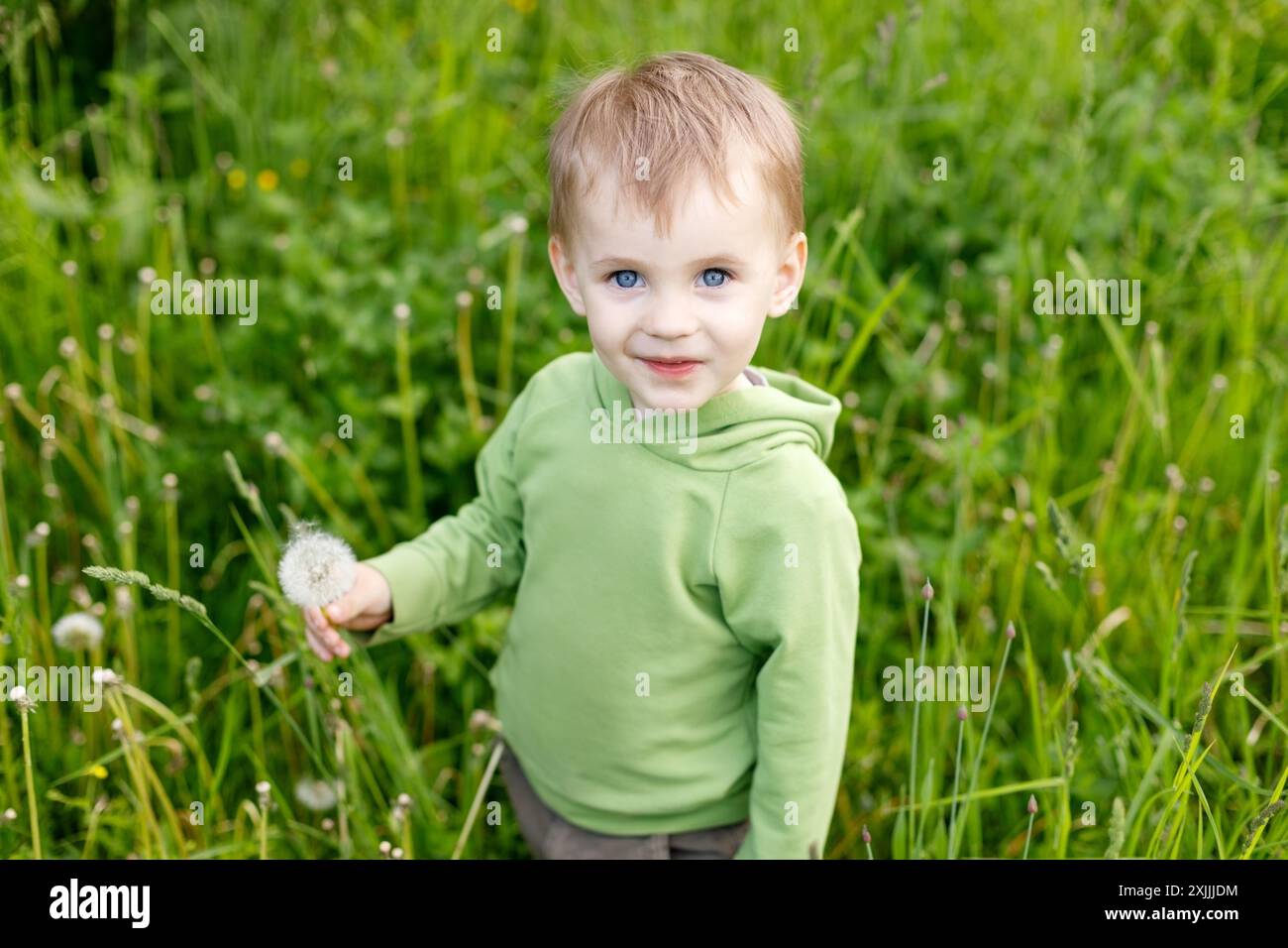 Child exploring nature with dandelion Stock Photo - Alamy Child exploring nature with dandelion Stock Photo - Alamy