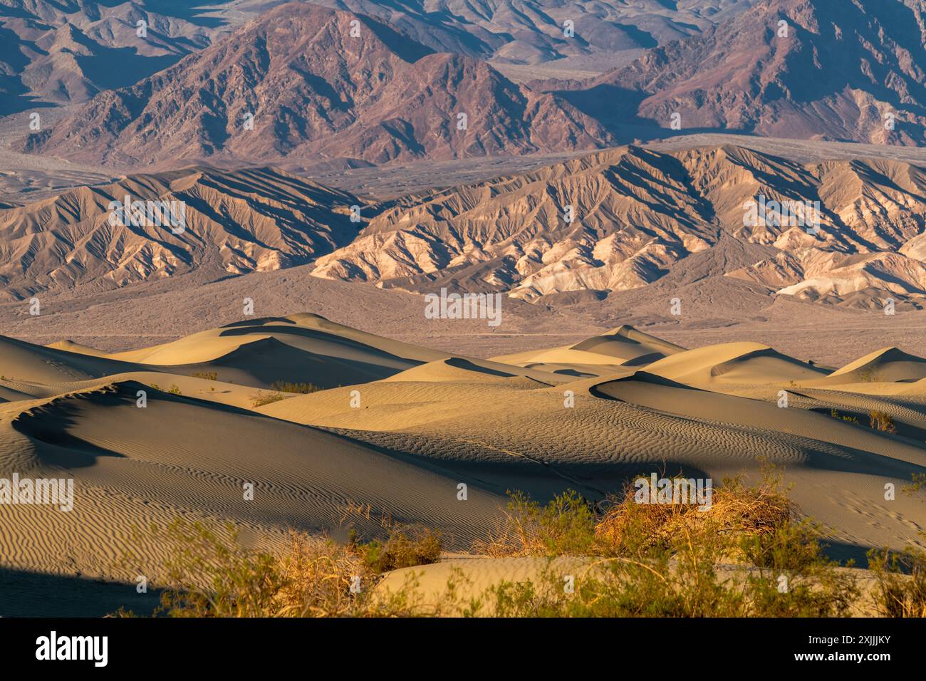 A desert landscape with mountains in the background Stock Photo - Alamy